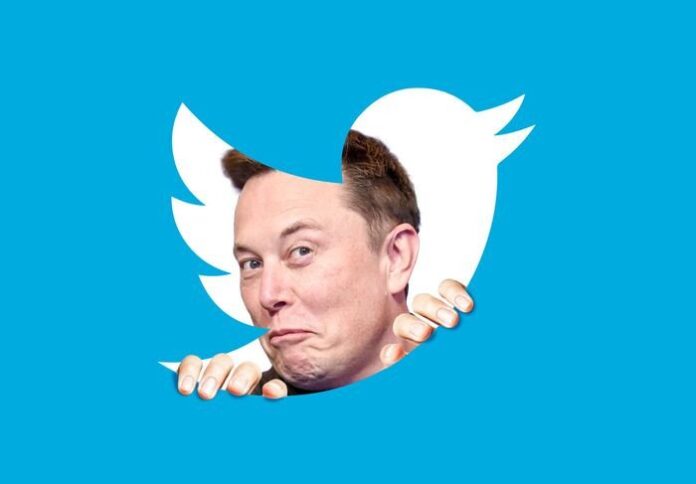 Twitter staff cut by 80% after Elon Musk took over