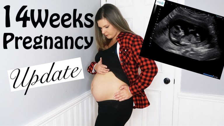 Pregnancy Your Guide to 14 Weeks Pregnant