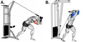Cable Overhead Tricep Extension: Form, Benefits, and Variations