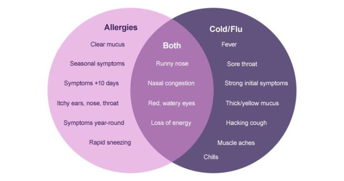 Allergies vs Cold the Differences and Finding Relief