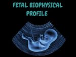 Demystifying the Biophysical Profile: A Window Into Fetal Health