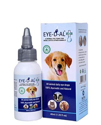 Dog Eyedrops Benefits, Usage, and Safety