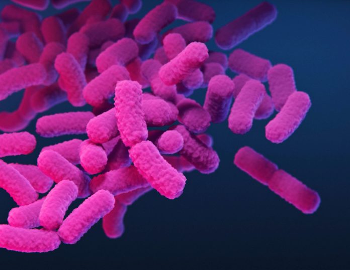 ESBL Infections The Silent Threat In Healthcare