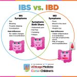 The Differences IBD vs IBS Explained