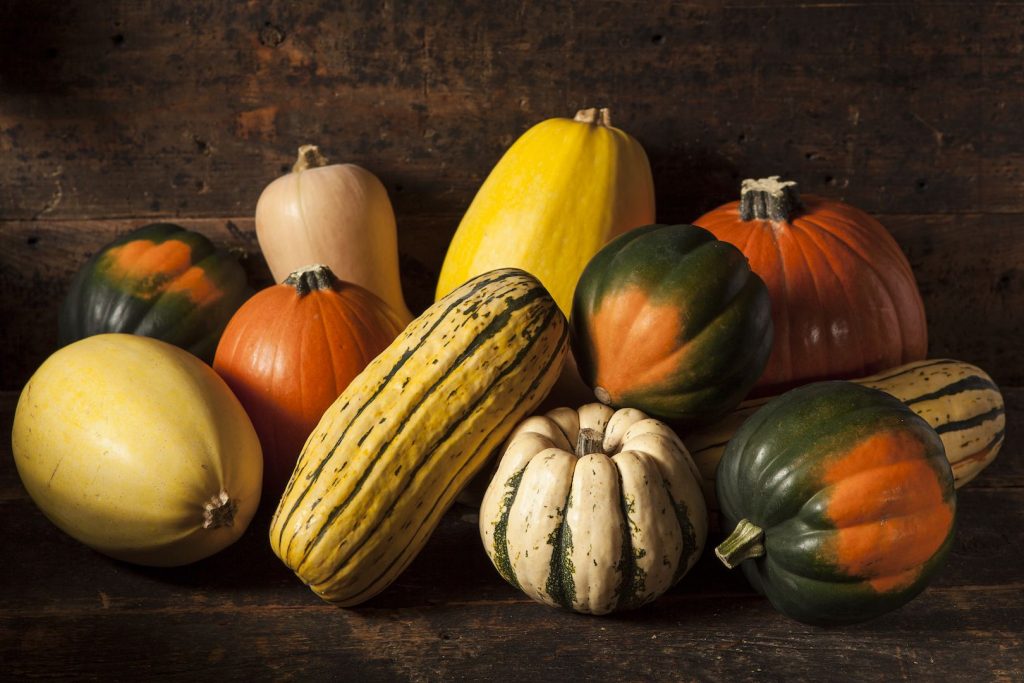 Is Squash a Fruit the Truth About This Versatile Vegetable