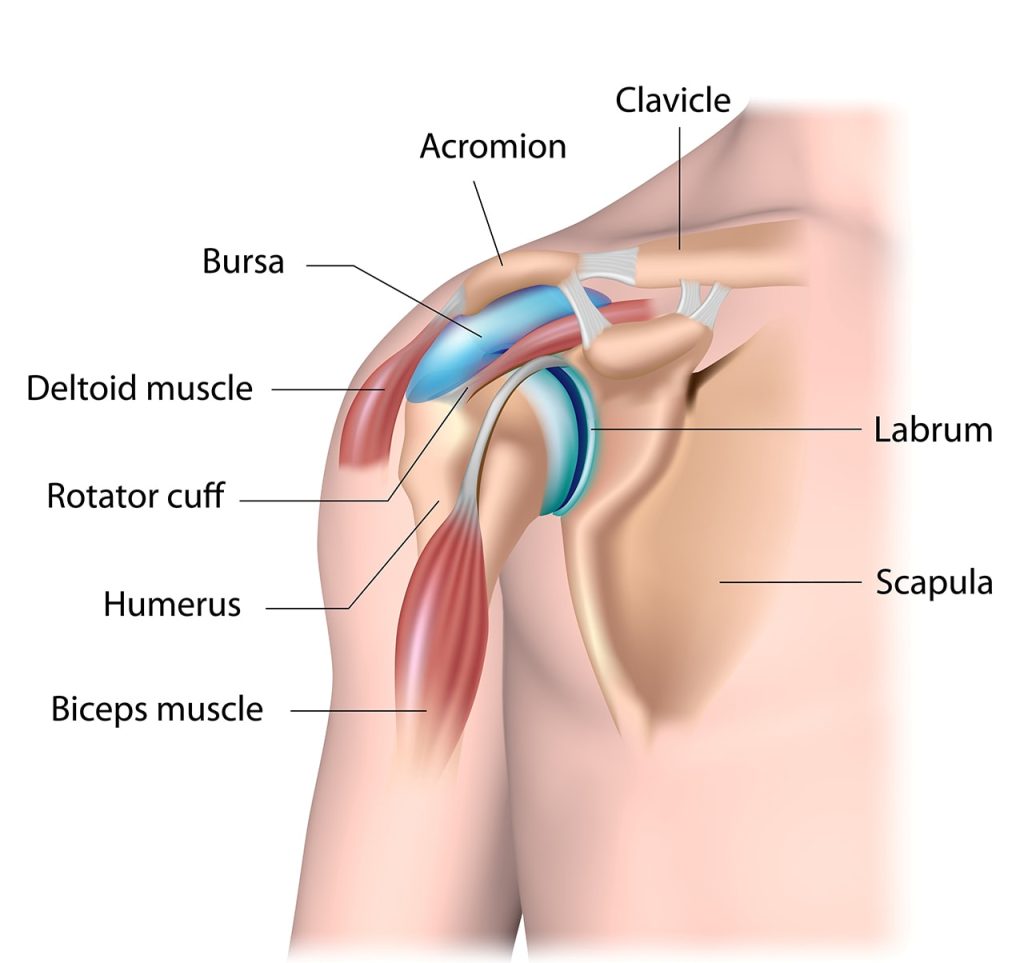 Torn Labrum In Shoulder Causes Symptoms And Treatments