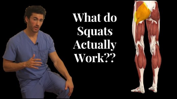 The Power of Squats Muscles They Work and Why It Matters