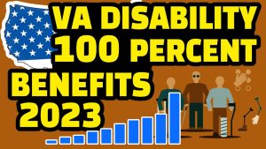 The Hidden Perks, Benefits of 100% VA Disability