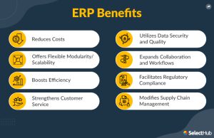 Efficiency and Growth, Incredible Benefits of ERP