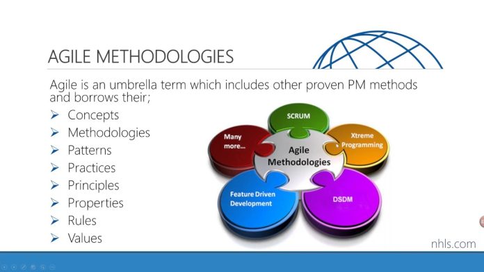 The Power of Agile Project Management, Efficiency and Success