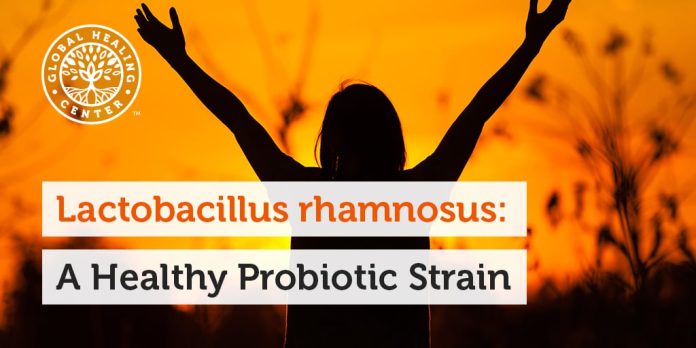 The Power of Lactobacillus Rhamnosus, Surprising Benefits
