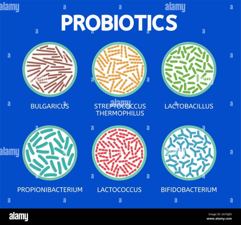 Power of Probiotics, A Comprehensive List of Strains