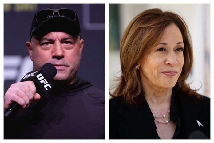 How Celebrity Endorsements and Joe Rogan Shaped the 2024 Election